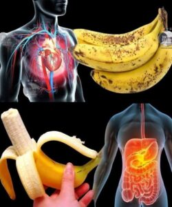 The Surprising Truth About Bananas: Nature's Mood Booster in a Peel ...